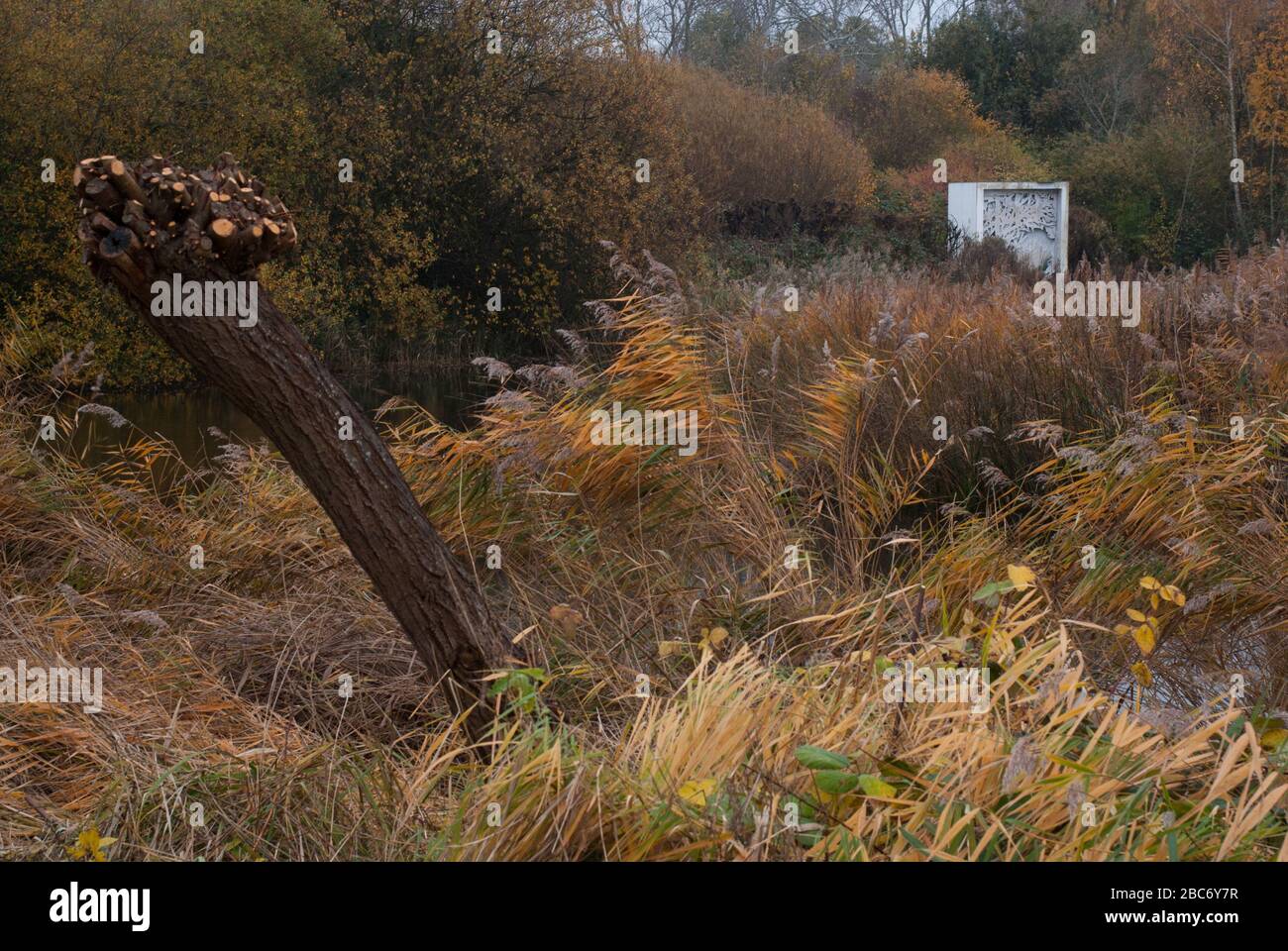 Berkeley Bat House IJP Architects Wetland Centre, Queen Elizabeth's ...
