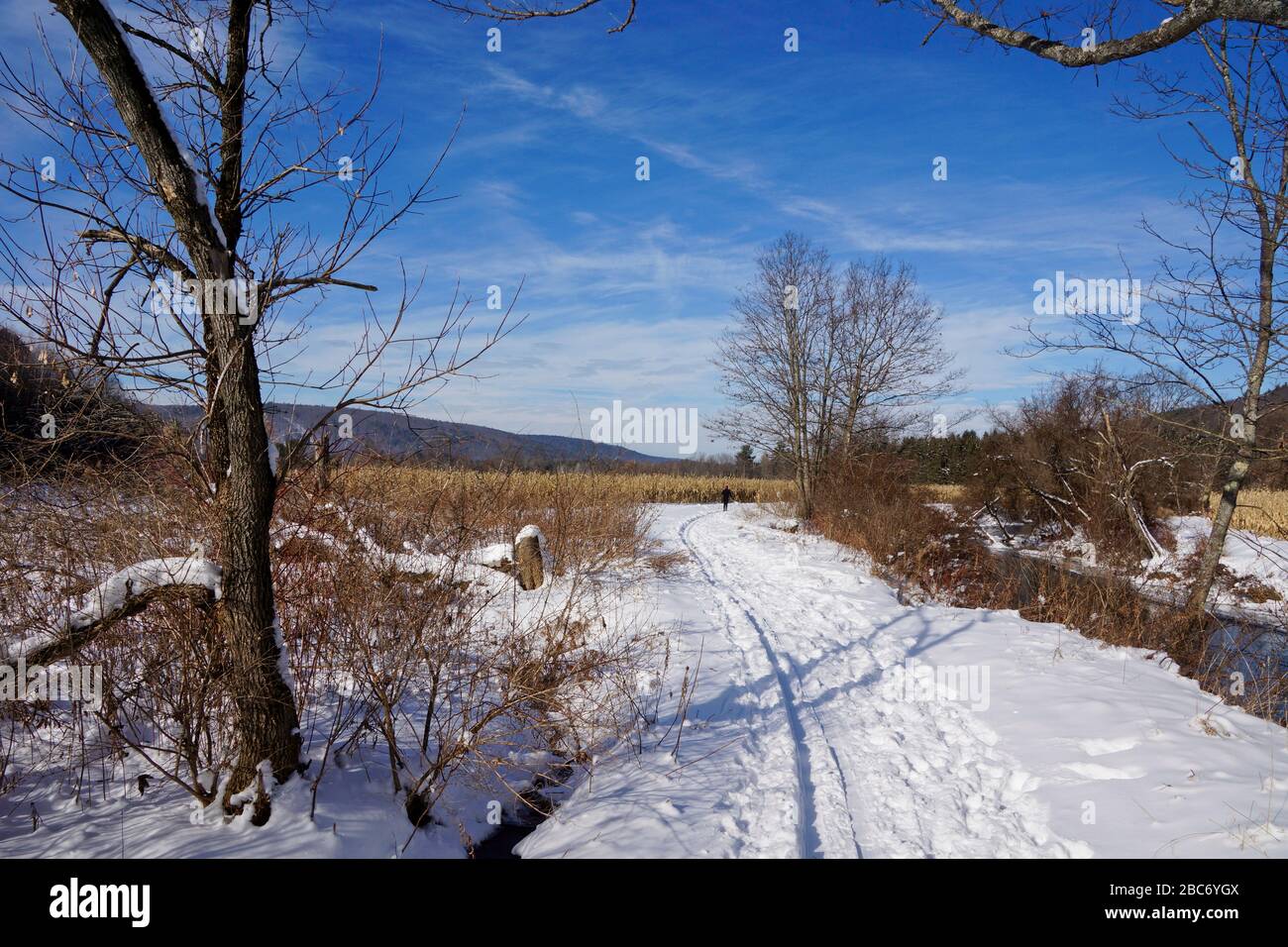 Robert V. Riddell State Park in Upstate New York Stock Photo - Alamy