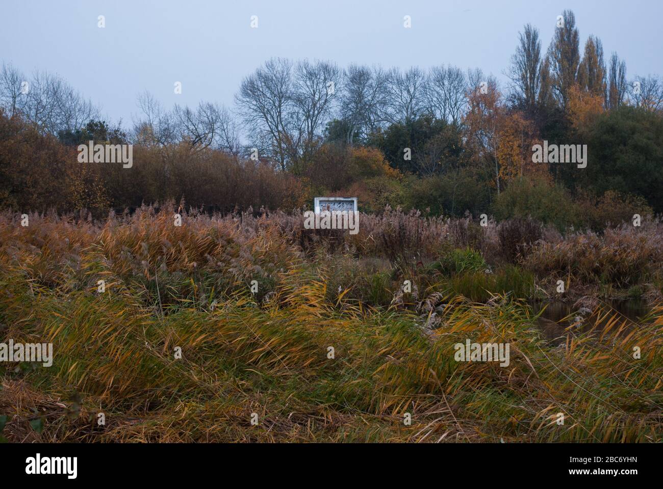 Berkeley Bat House IJP Architects Wetland Centre, Queen Elizabeth's ...
