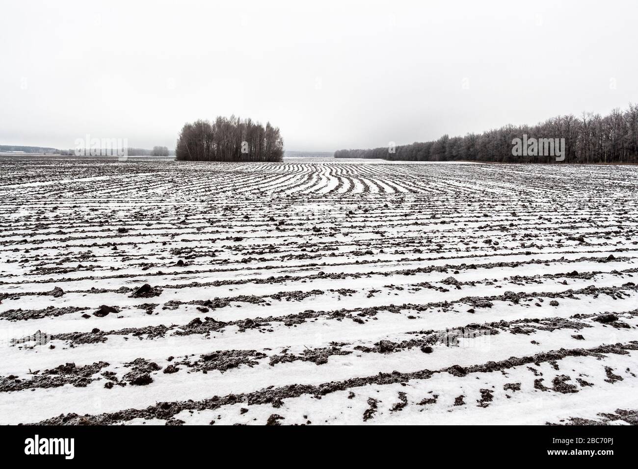 Agricultural fields are covered with pure white snow Stock Photo - Alamy