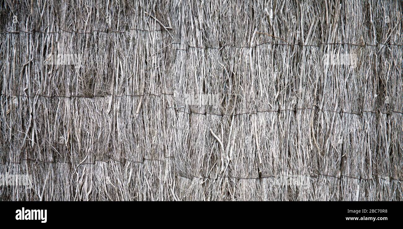 gray branch of brande wood background natural texture grey wallpaper ...