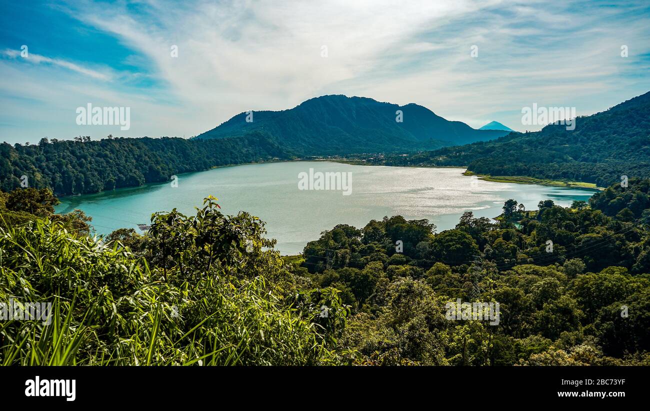 Cliff jungle hi-res stock photography and images - Alamy