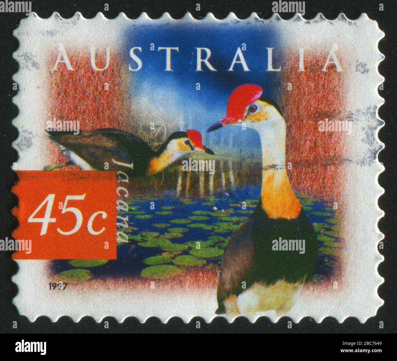 AUSTRALIA - CIRCA 1997: stamp printed by Australia, shows bird, circa ...
