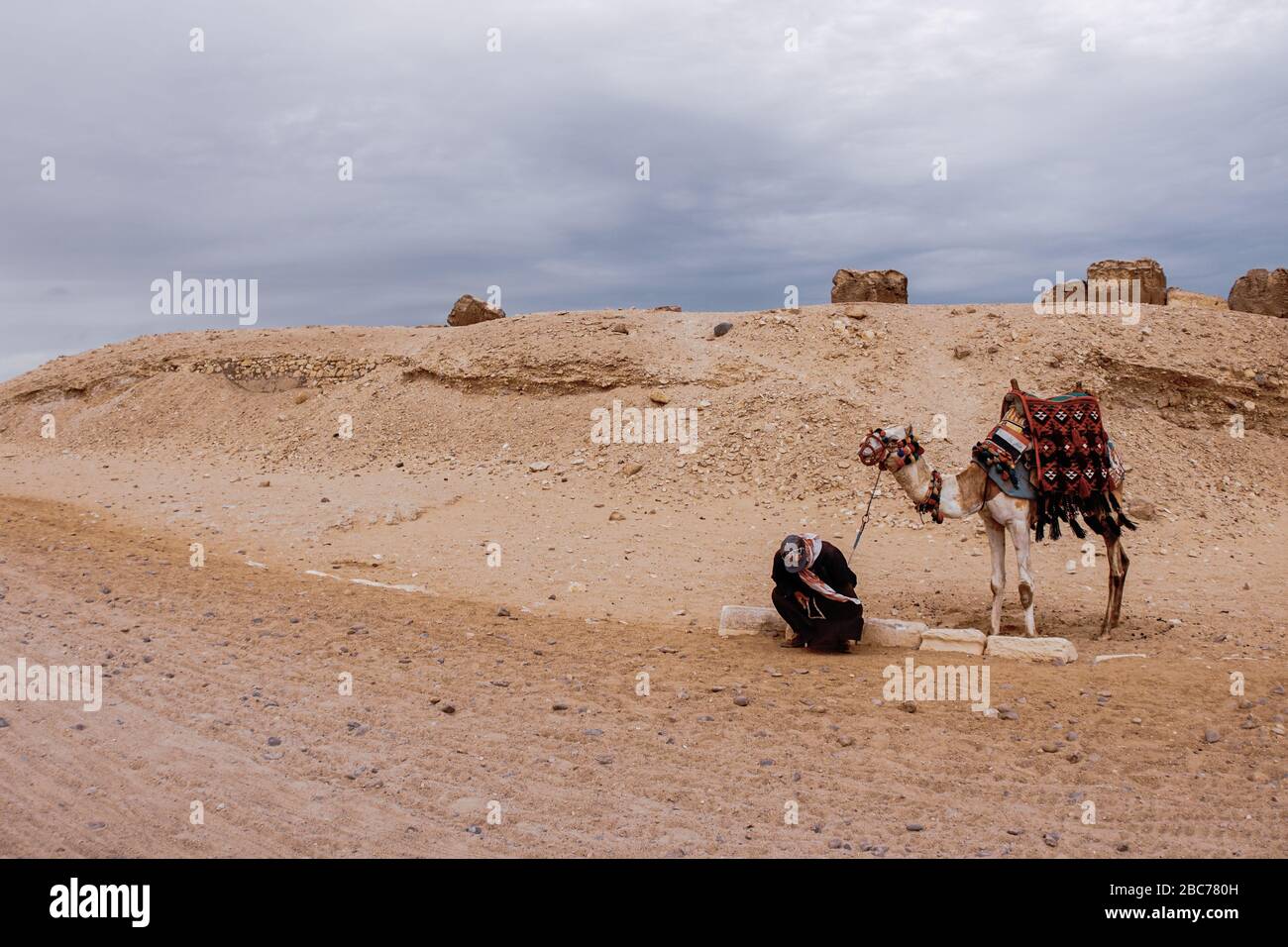 a sad and tired man with a camel on desert in Egypt Stock Photo - Alamy