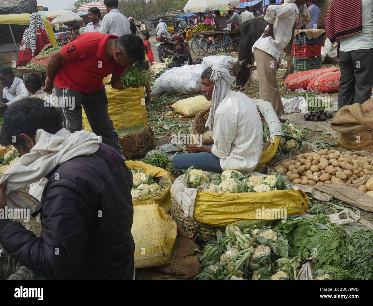Agra street photography hi-res stock photography and images - Alamy