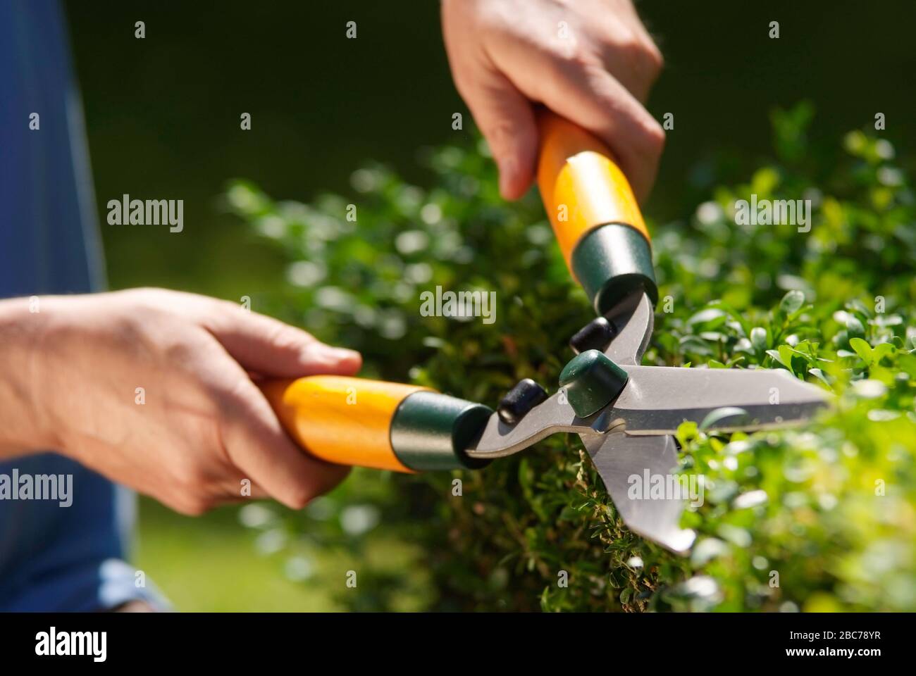 Hand clippers hi-res stock photography and images - Alamy