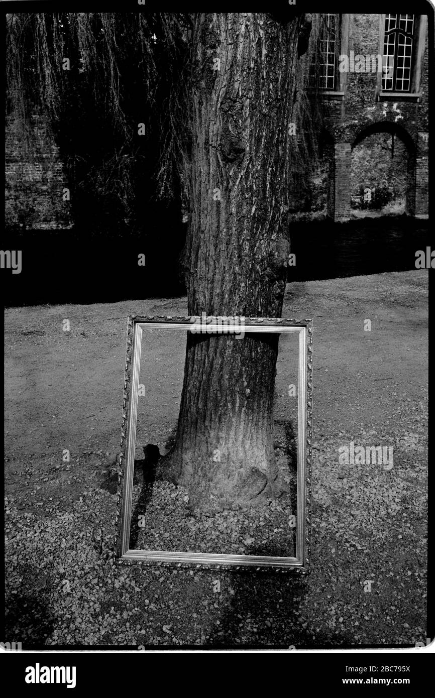 Bruges Belgium. Tree with picture frame. 2000 Stock Photo - Alamy