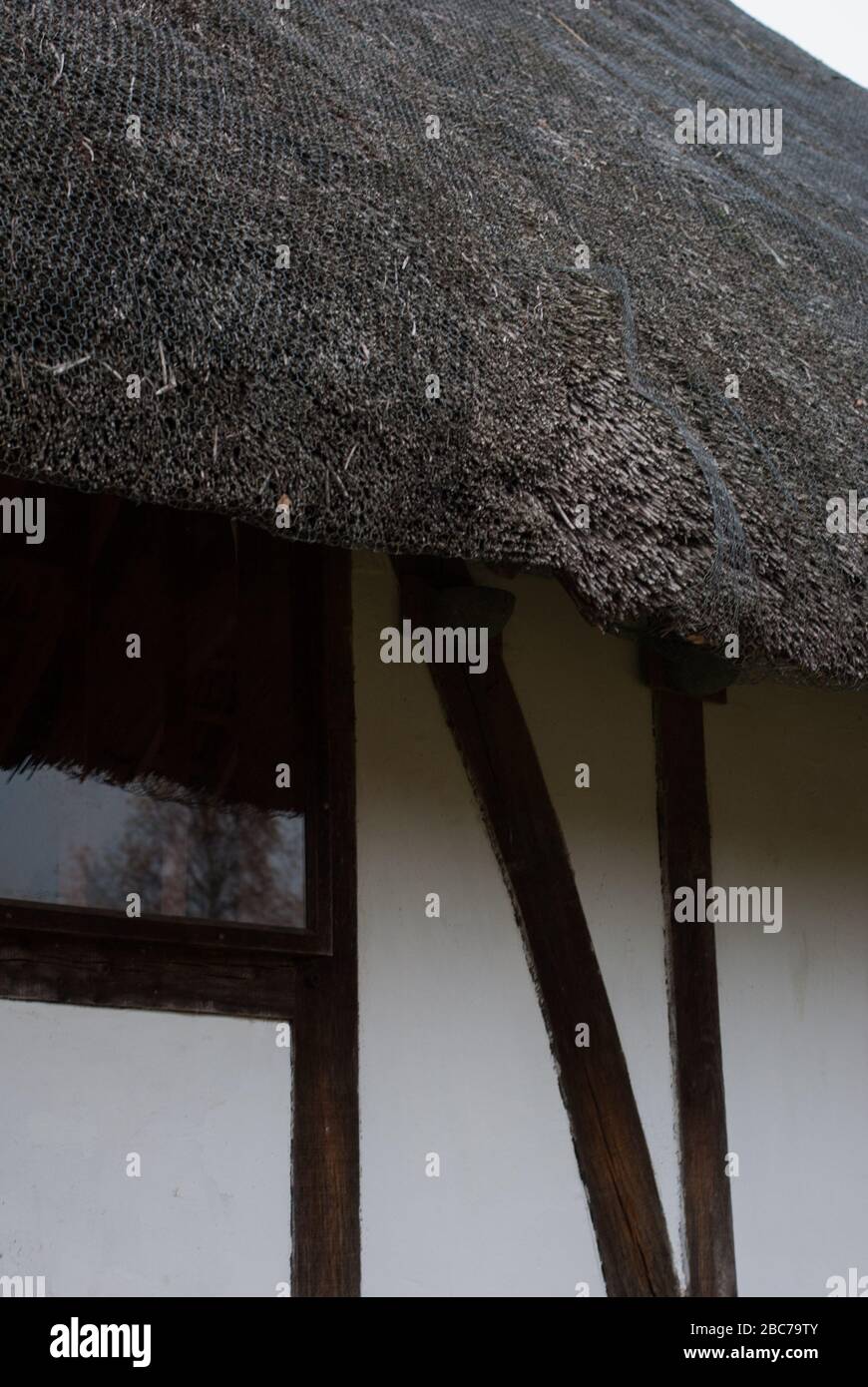 Timber Cottage Bark Thatched Roof Wetland Centre, Queen Elizabeth's ...