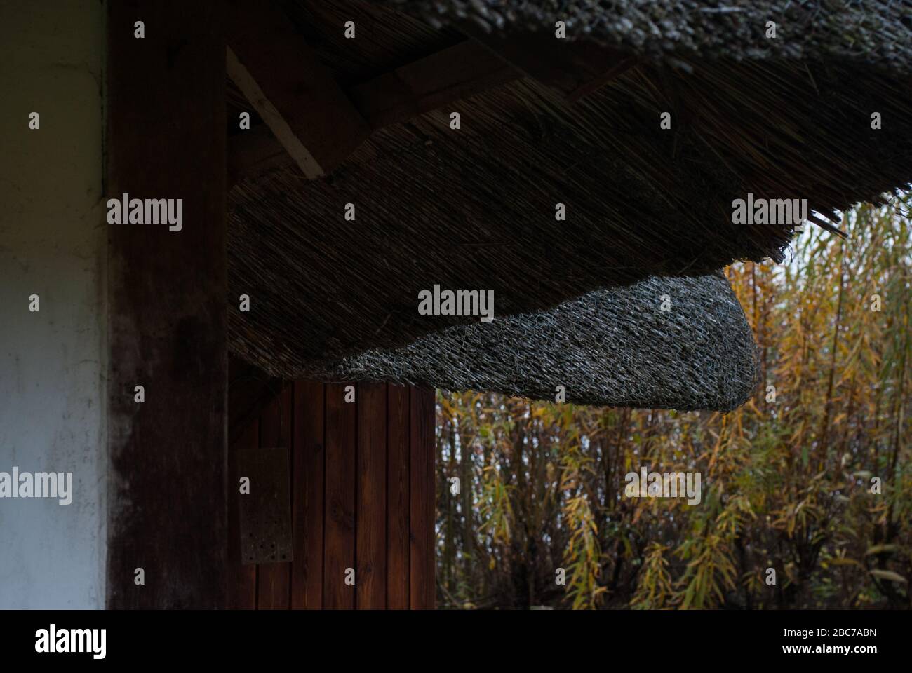 Timber hut with thatched roof hi-res stock photography and images - Alamy