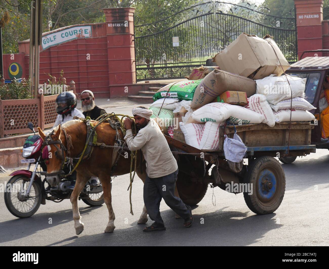 Agra, Uttar Pradesh, India- March 2018: A man pulls an overloaded horse ...