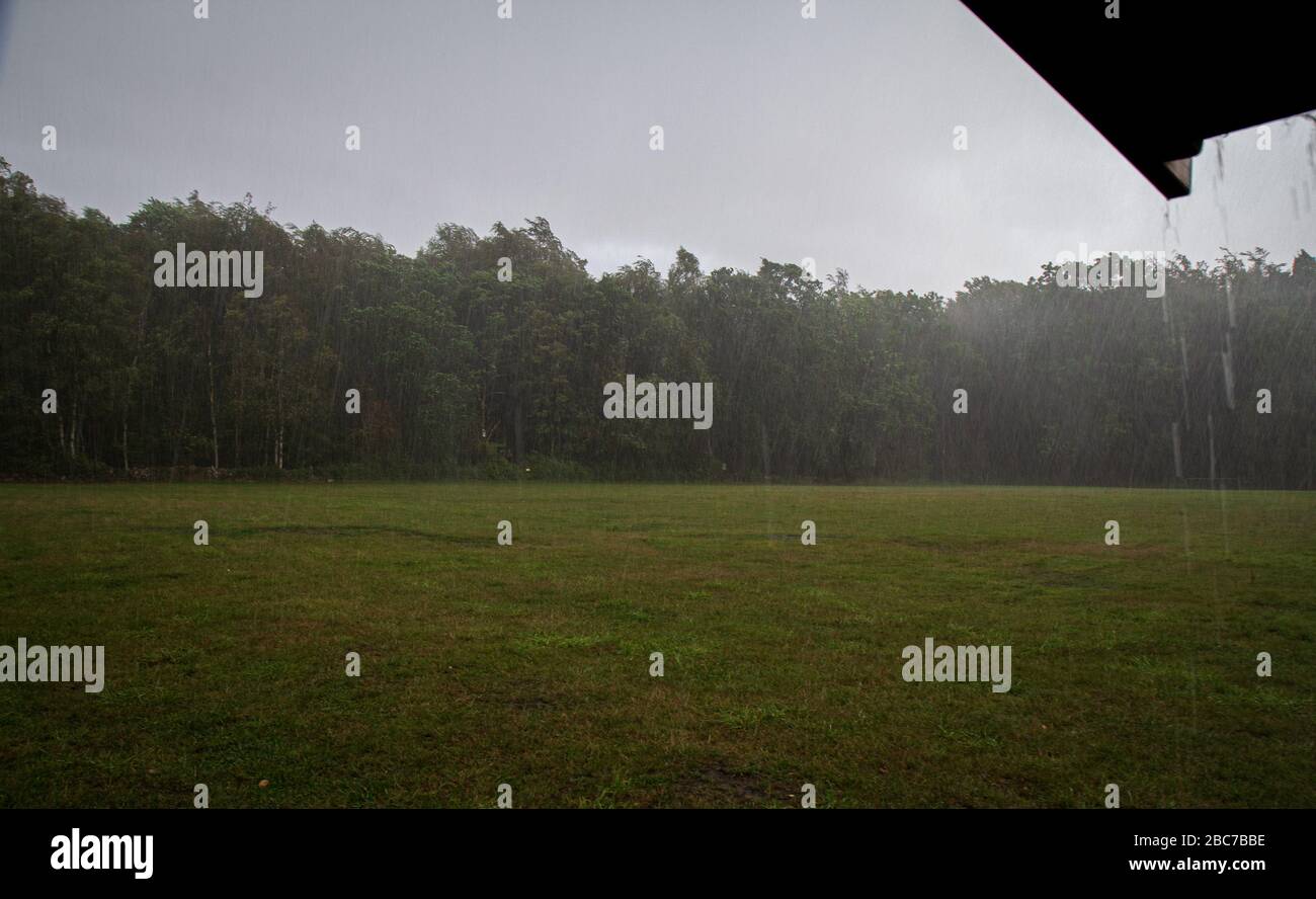A heavy summer rain is pouring down over an open grass area in the ...