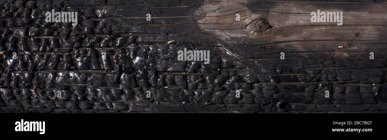 Natural fire ashes with dark grey black coals texture. It is a ...