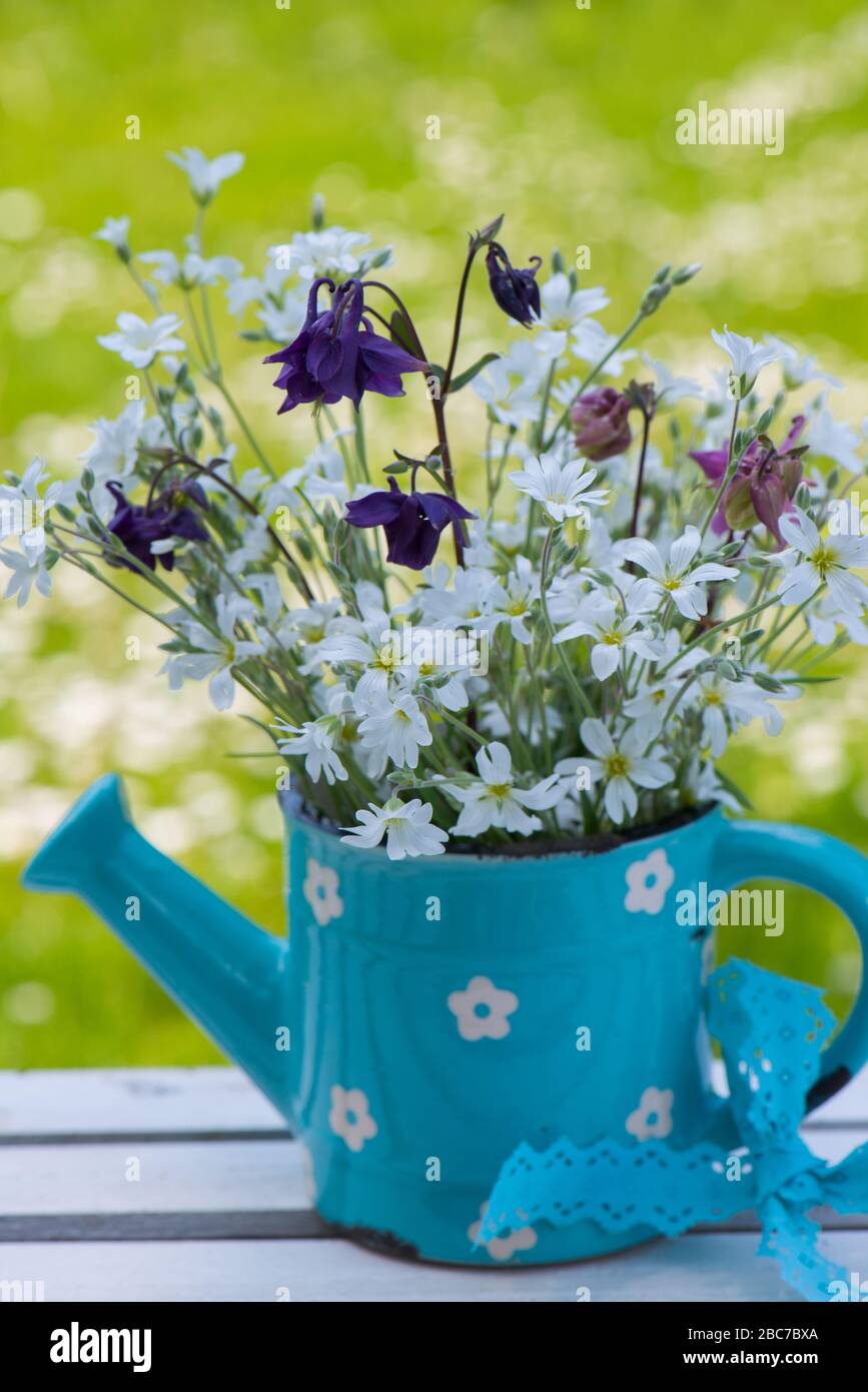 Wild flowers in a watering can Stock Photo - Alamy