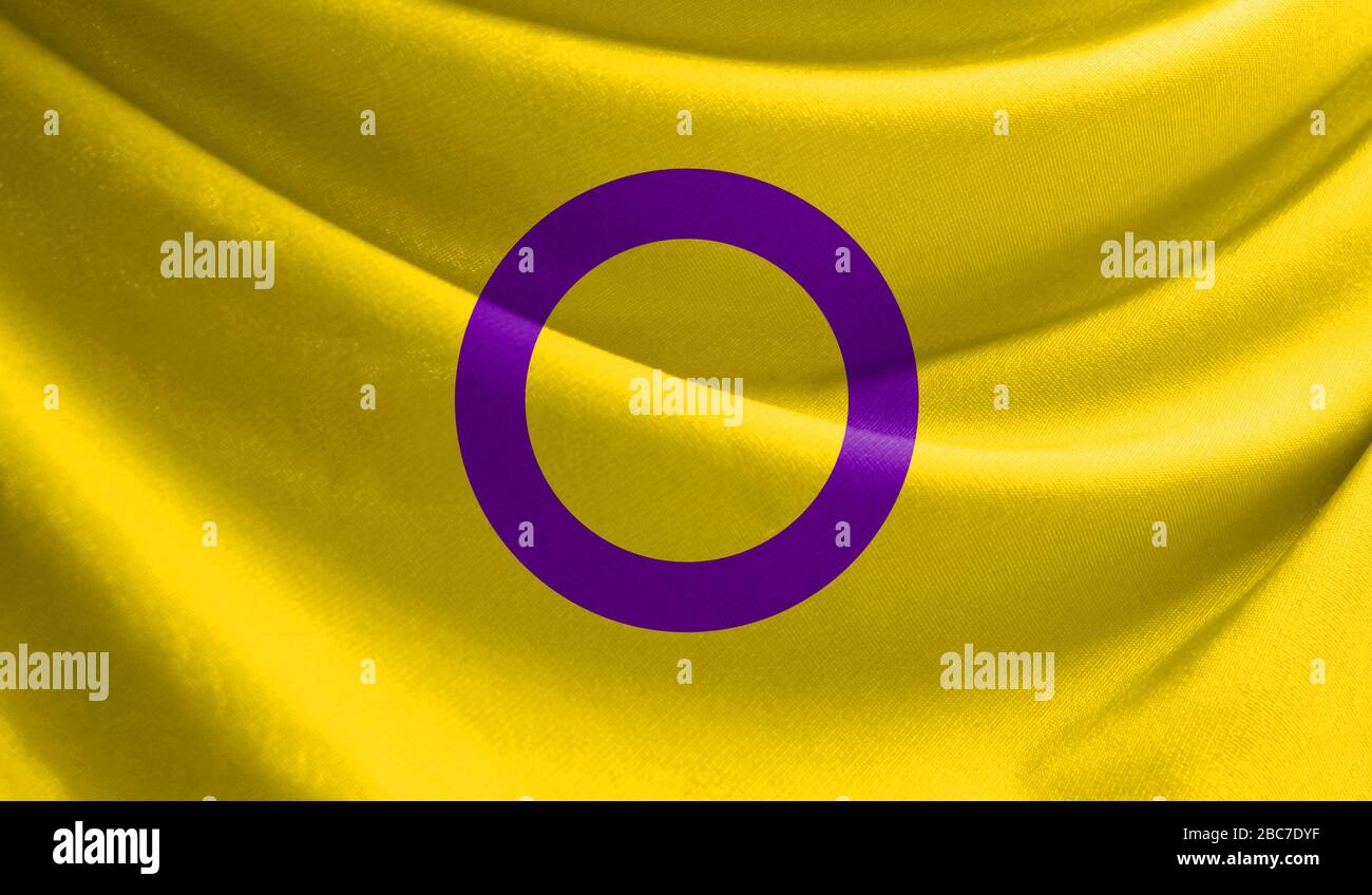 Realistic flag of intersex pride on the wavy surface of fabric Stock ...