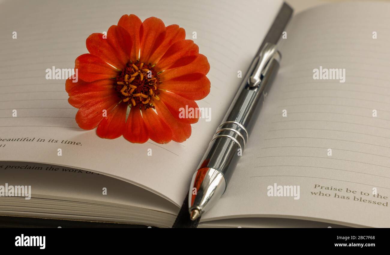 Note paper pen flower hi-res stock photography and images - Alamy