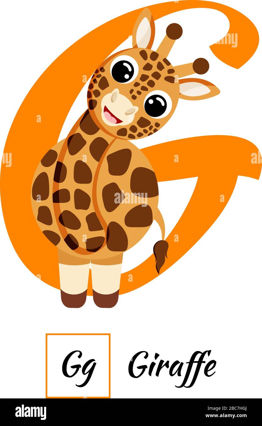 Cute English animal alphabet letter G vector image Stock Vector Image ...