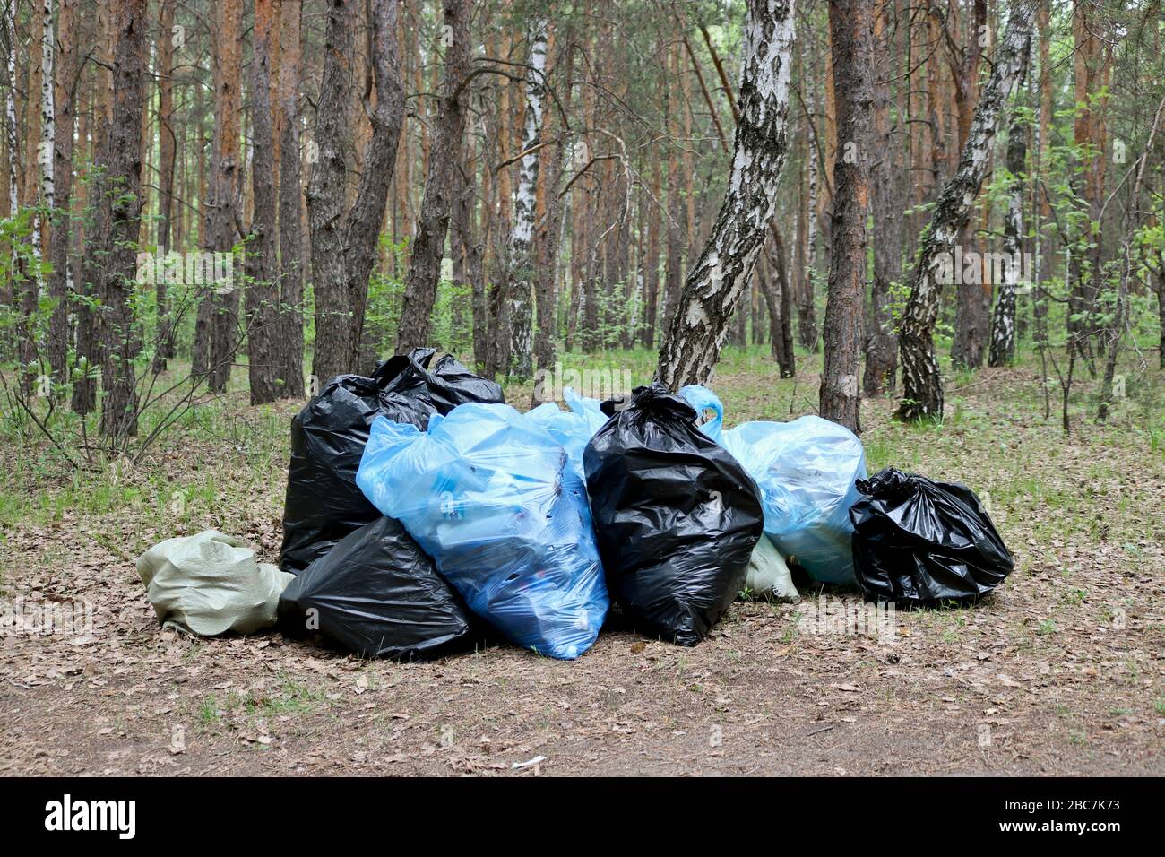Garbage bags filled with waste among the trees in the forest ...