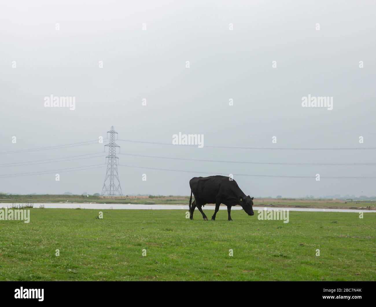 Industrial marsh landscape hi-res stock photography and images - Alamy