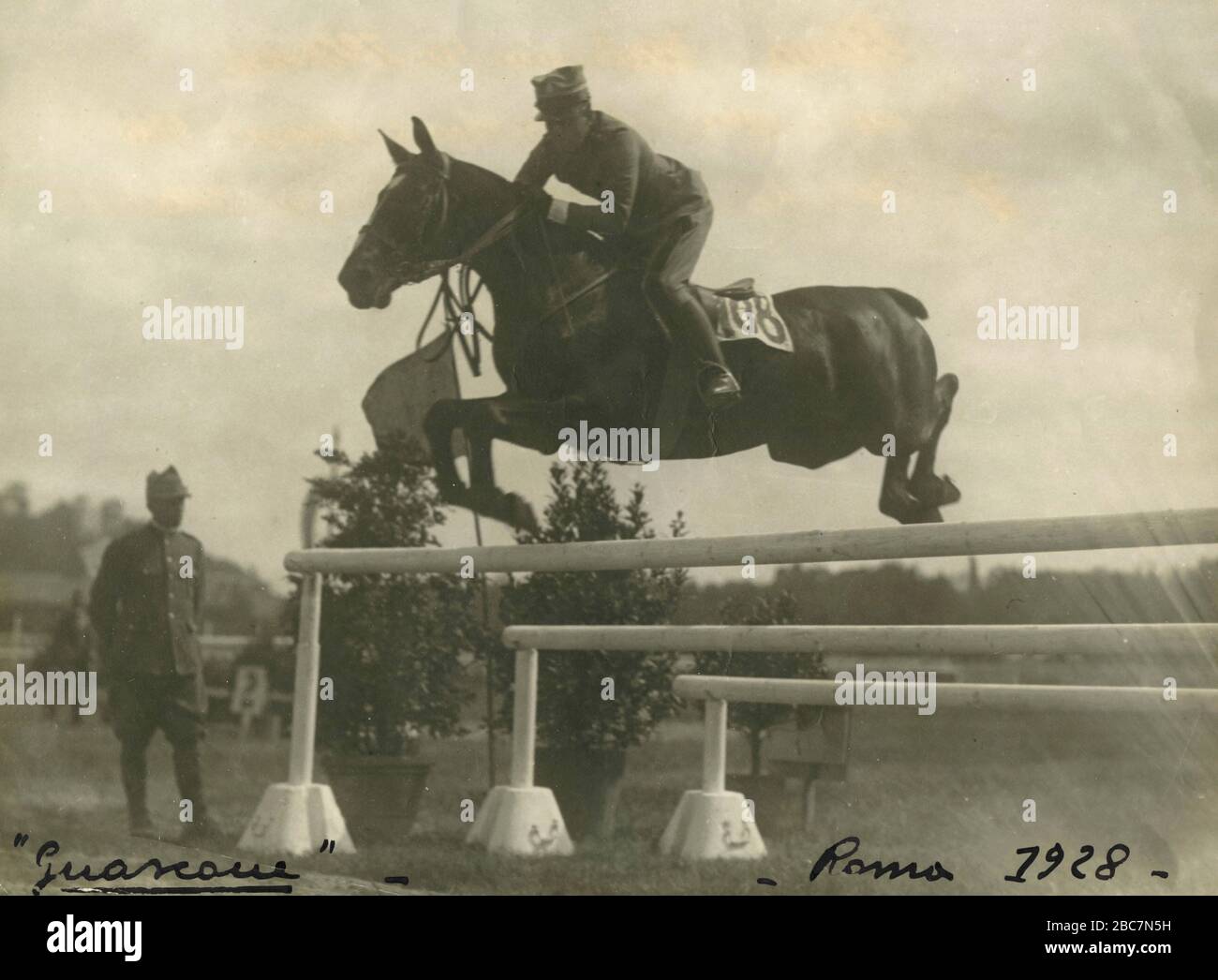 Jumper at the International Horse shaw at the Parioli racetrack, Rome ...