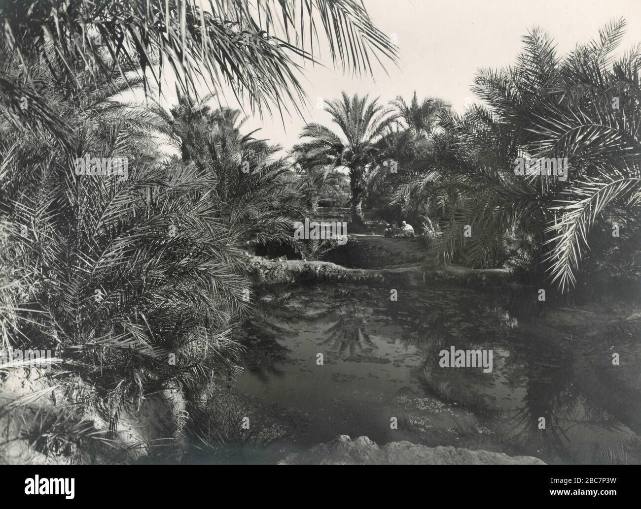 The water source in the desert oasis of Marada, Libya 1930s Stock Photo ...