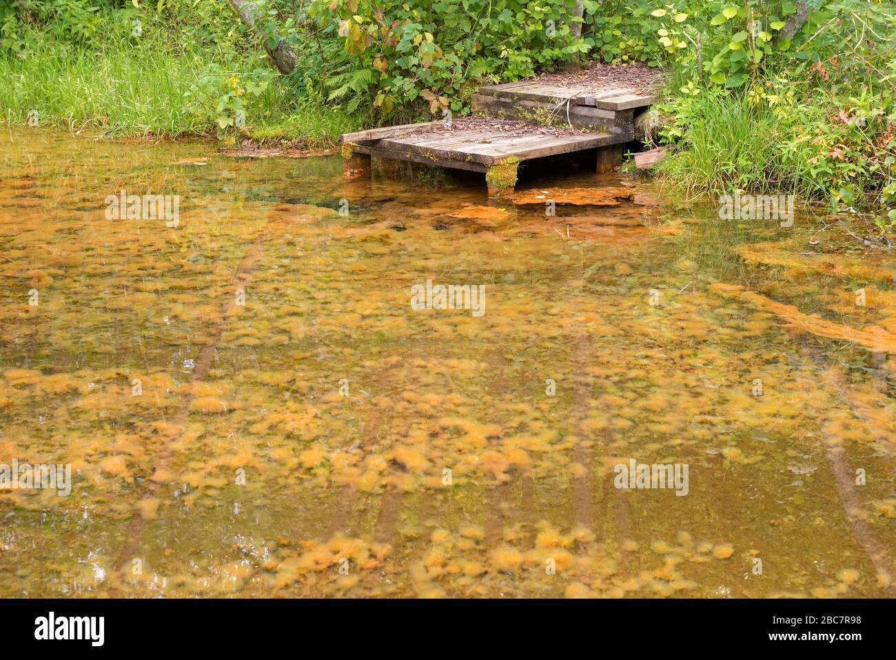 Unique radon-hydrogen sulfide sources of Mshenskie springs. Tver region ...