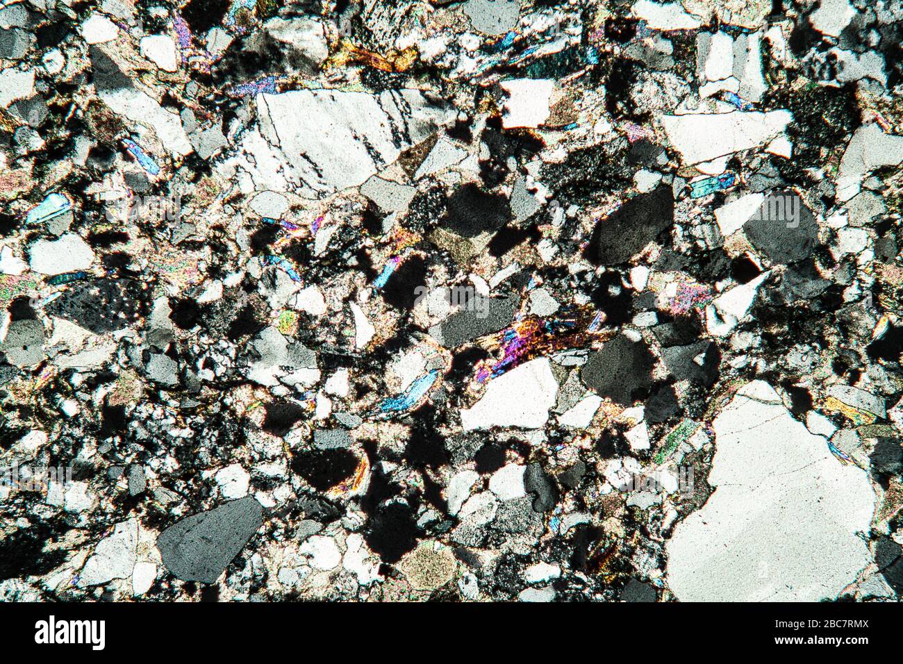limestone rock under the microscope 50x Stock Photo - Alamy