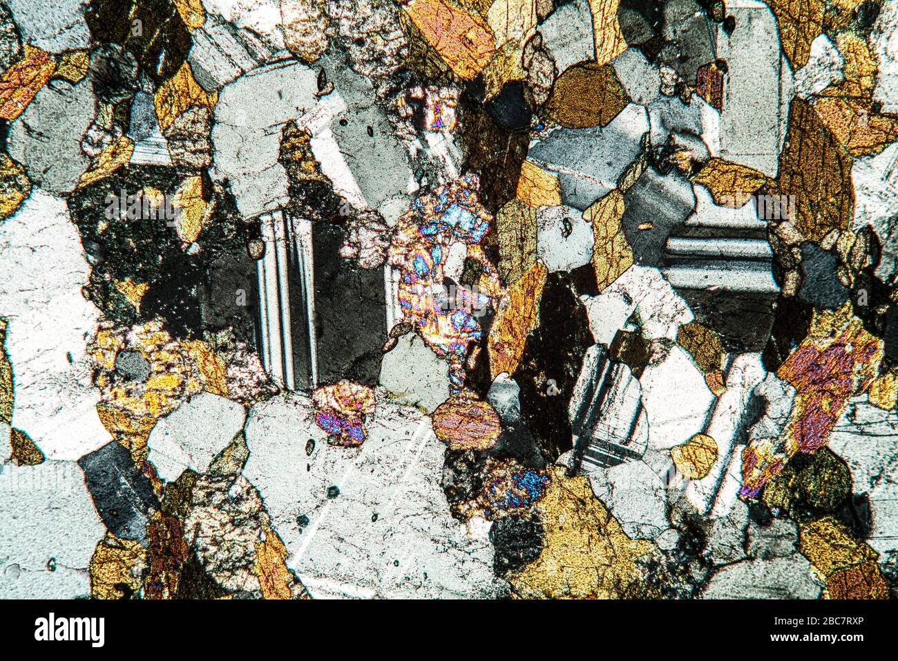 Amphibolite hi-res stock photography and images - Alamy