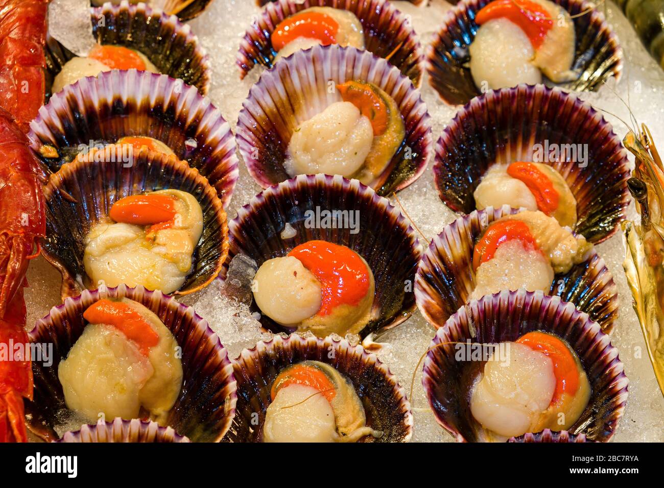Inside mussel shell hi-res stock photography and images - Alamy