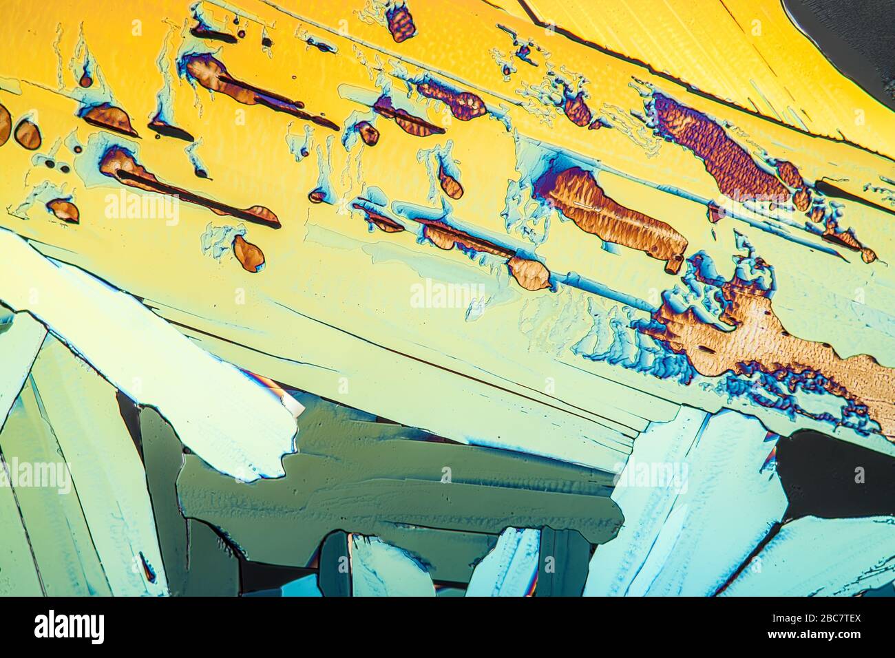 Urea crystals in polarized light under the microskope 100x Stock Photo ...