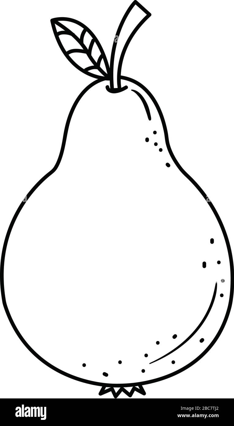 Pear Line Drawing