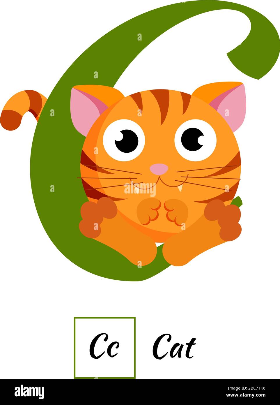 Cute English animal alphabet letter C vector image Stock Vector Image ...