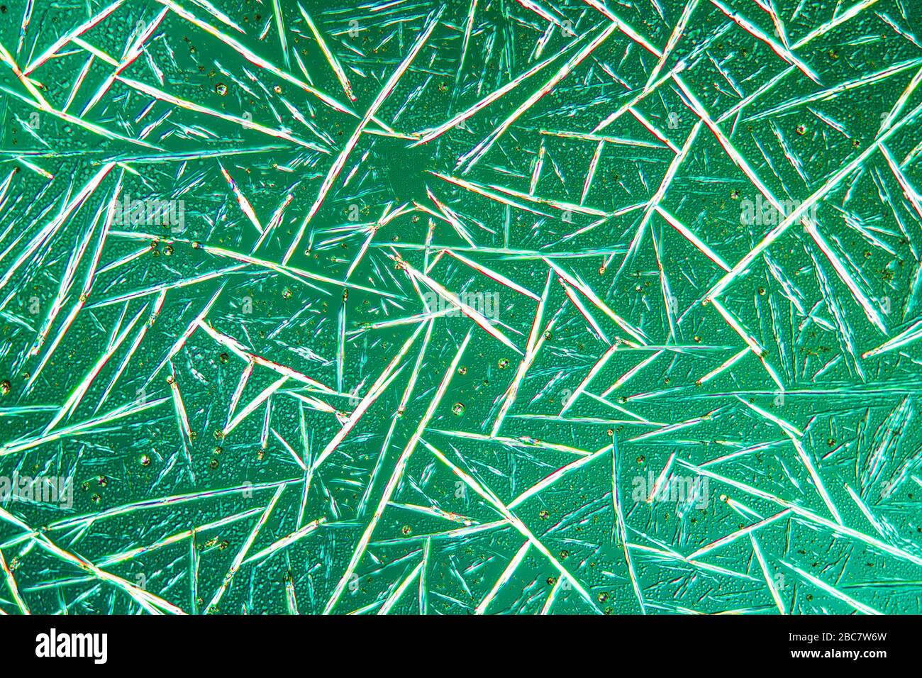 Caffeine crystals in polarized light under the microskope 100x Stock ...