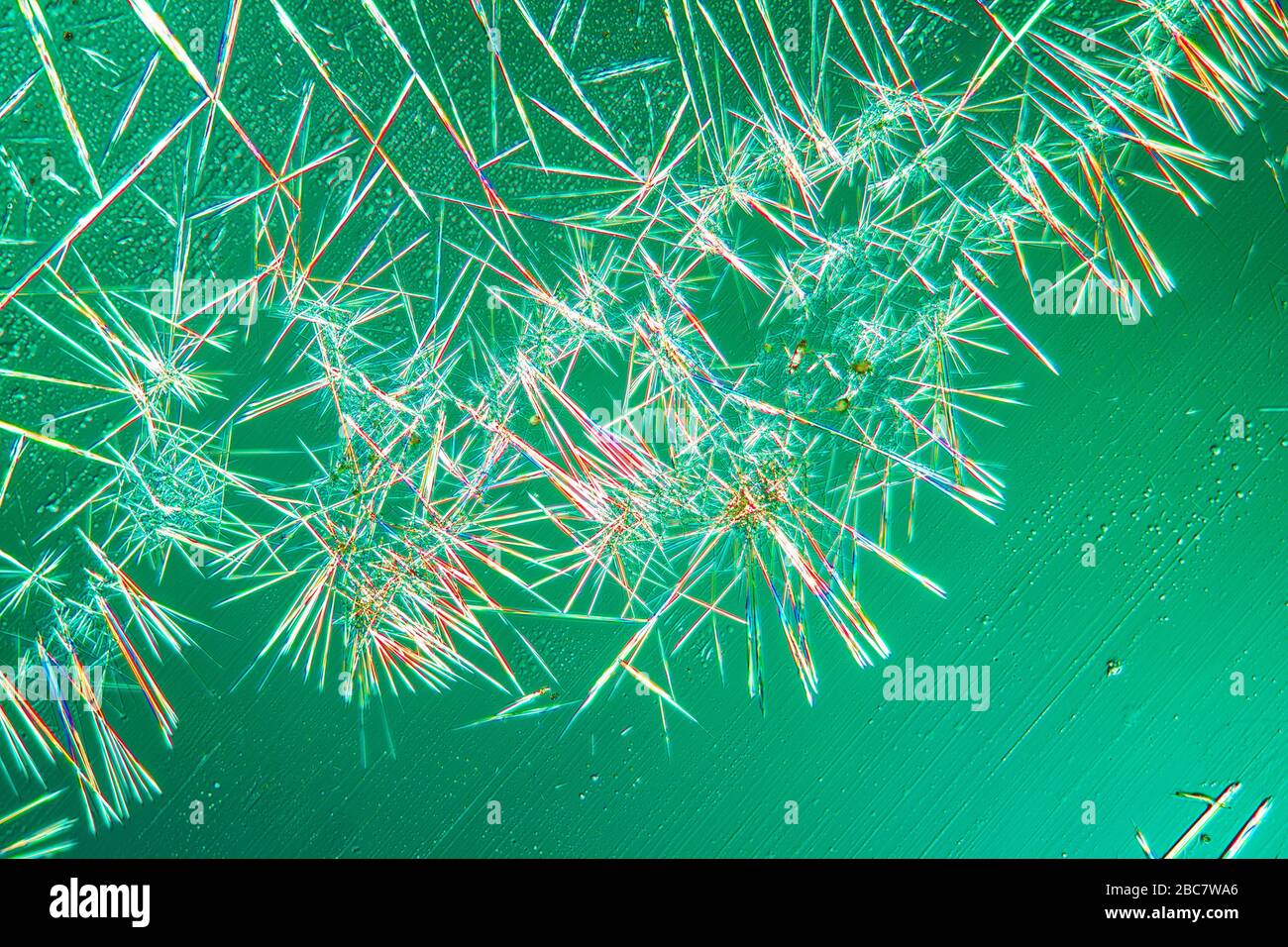 Caffeine crystals in polarized light under the microskope 100x Stock ...