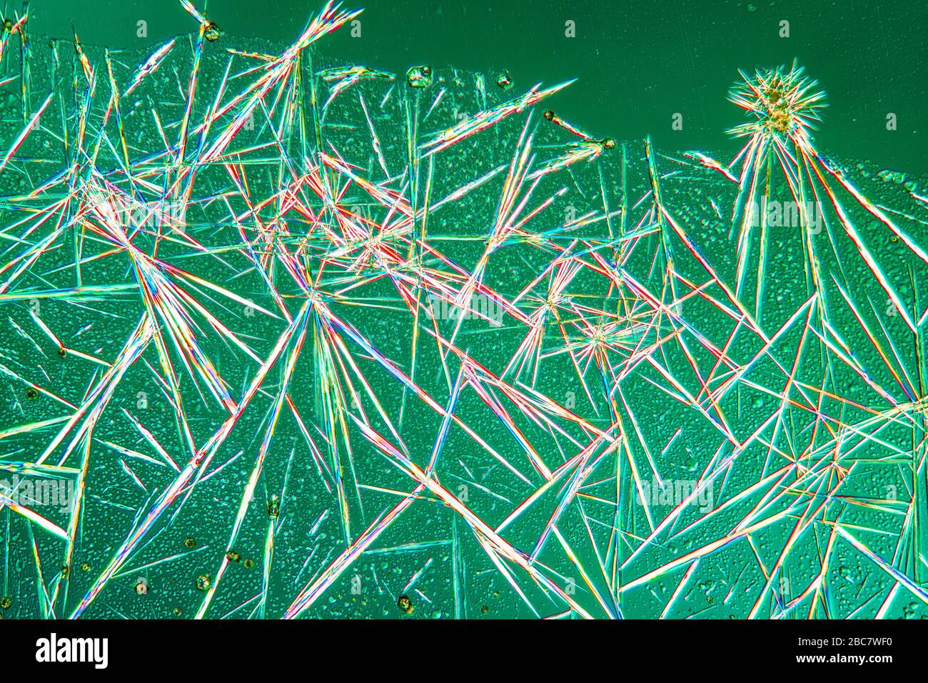 Caffeine crystals in polarized light under the microskope 100x Stock ...