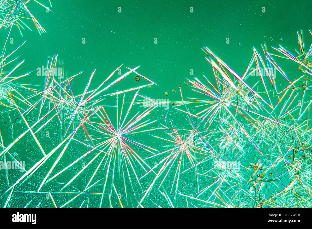 Caffeine crystals in polarized light under the microskope 100x Stock ...