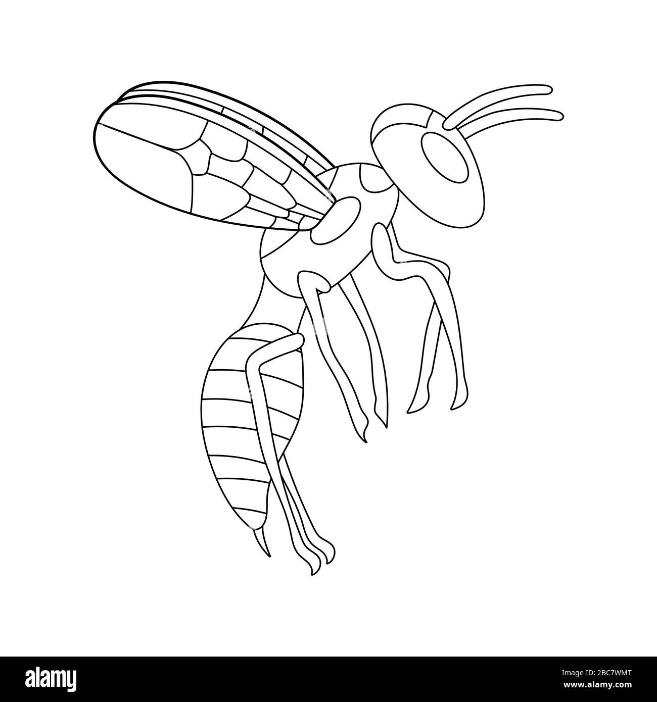 cartoon flying wasp outline. white background isolated stock vector ...