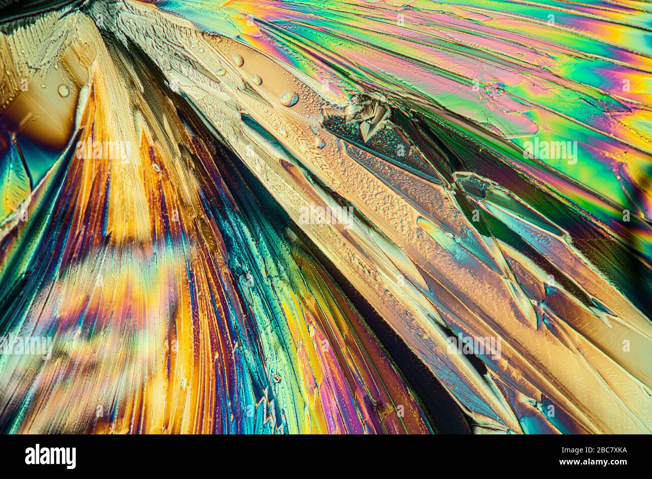 citric acid crystals in polarized light under the microskope 100x Stock ...
