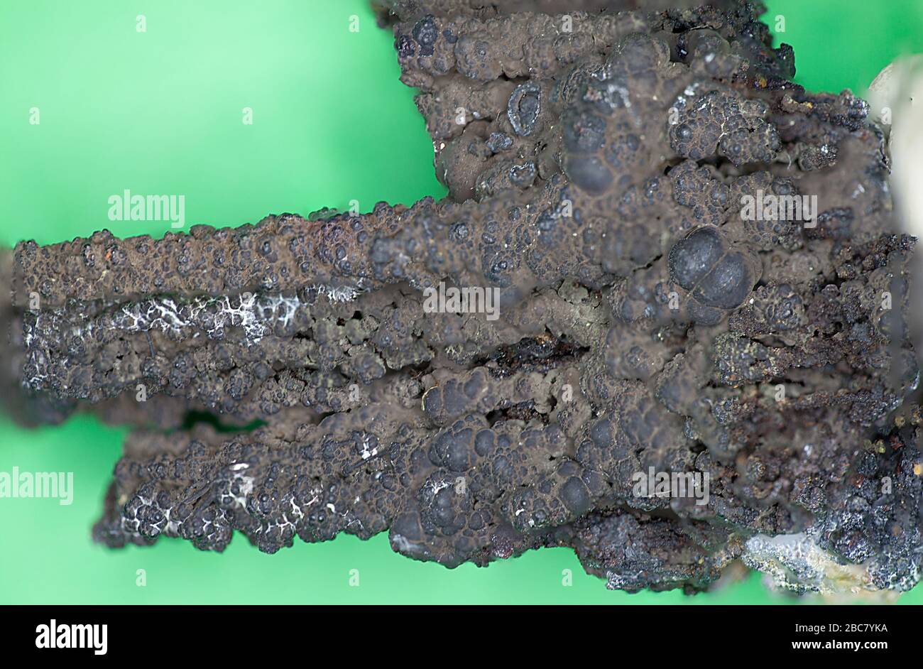 Mineral ironstone hi-res stock photography and images - Alamy