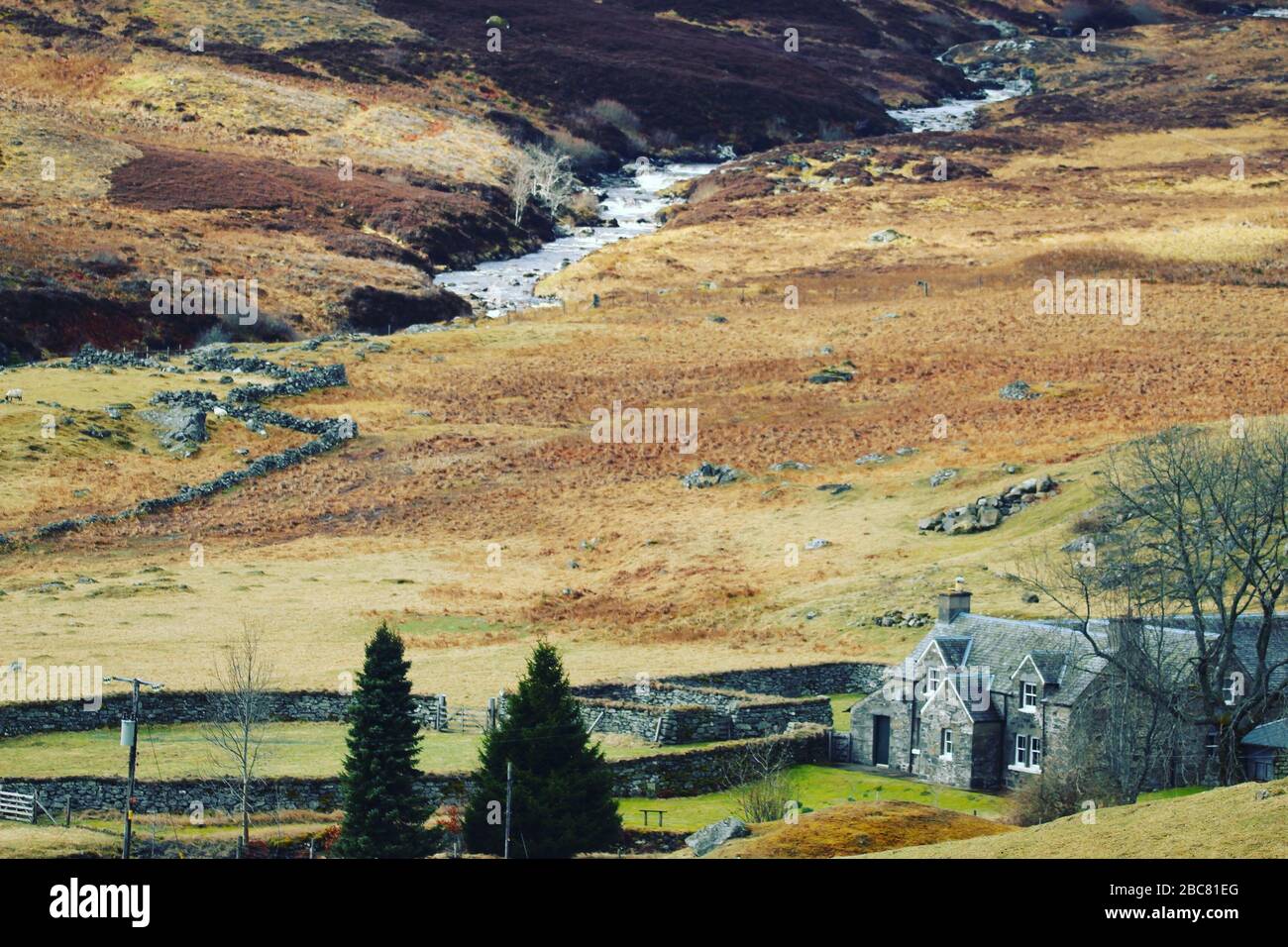 rural abandoned scotland Stock Photo - Alamy
