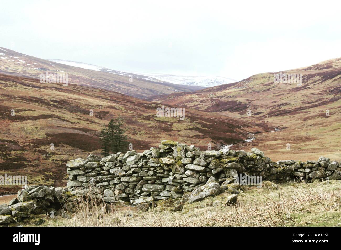 rural abandoned scotland Stock Photo - Alamy