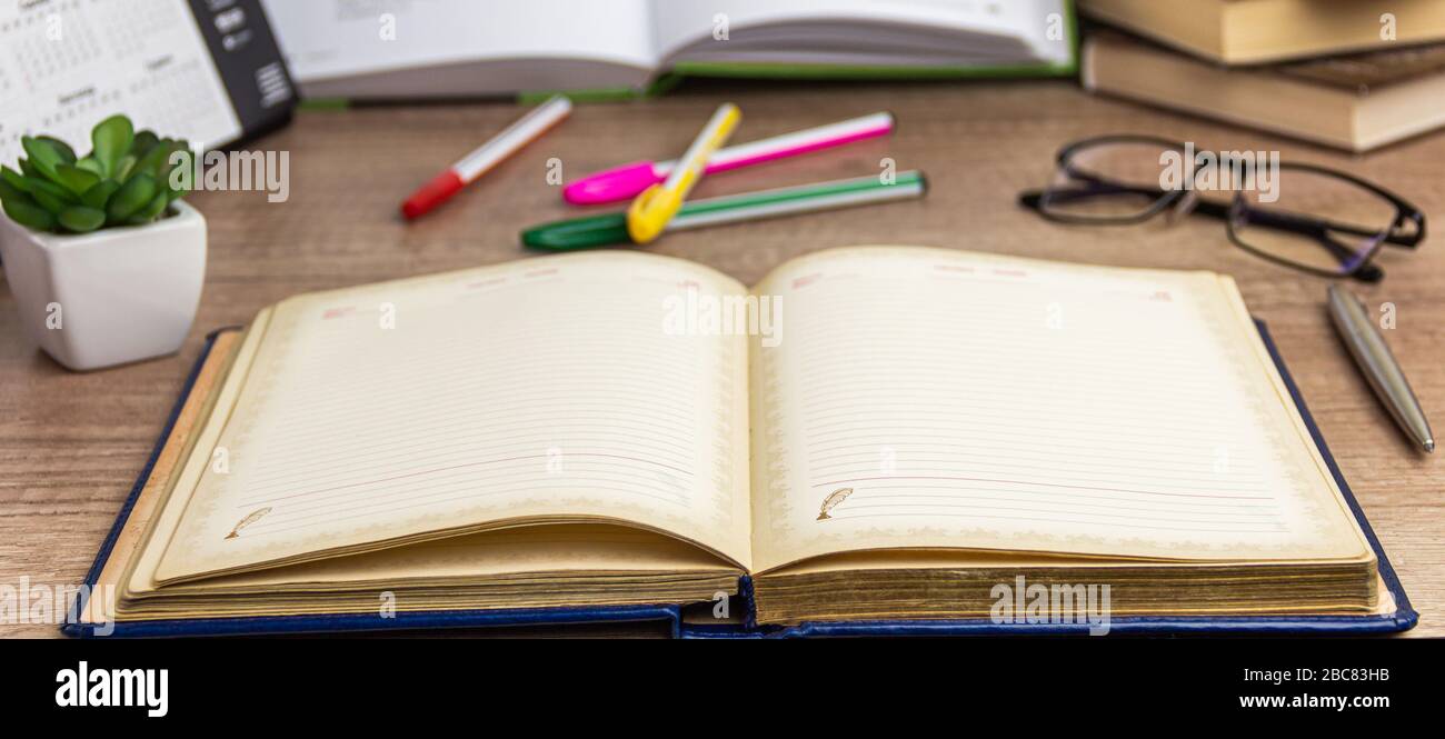 Open notebook with pen for your text on background open book, sukulent ...