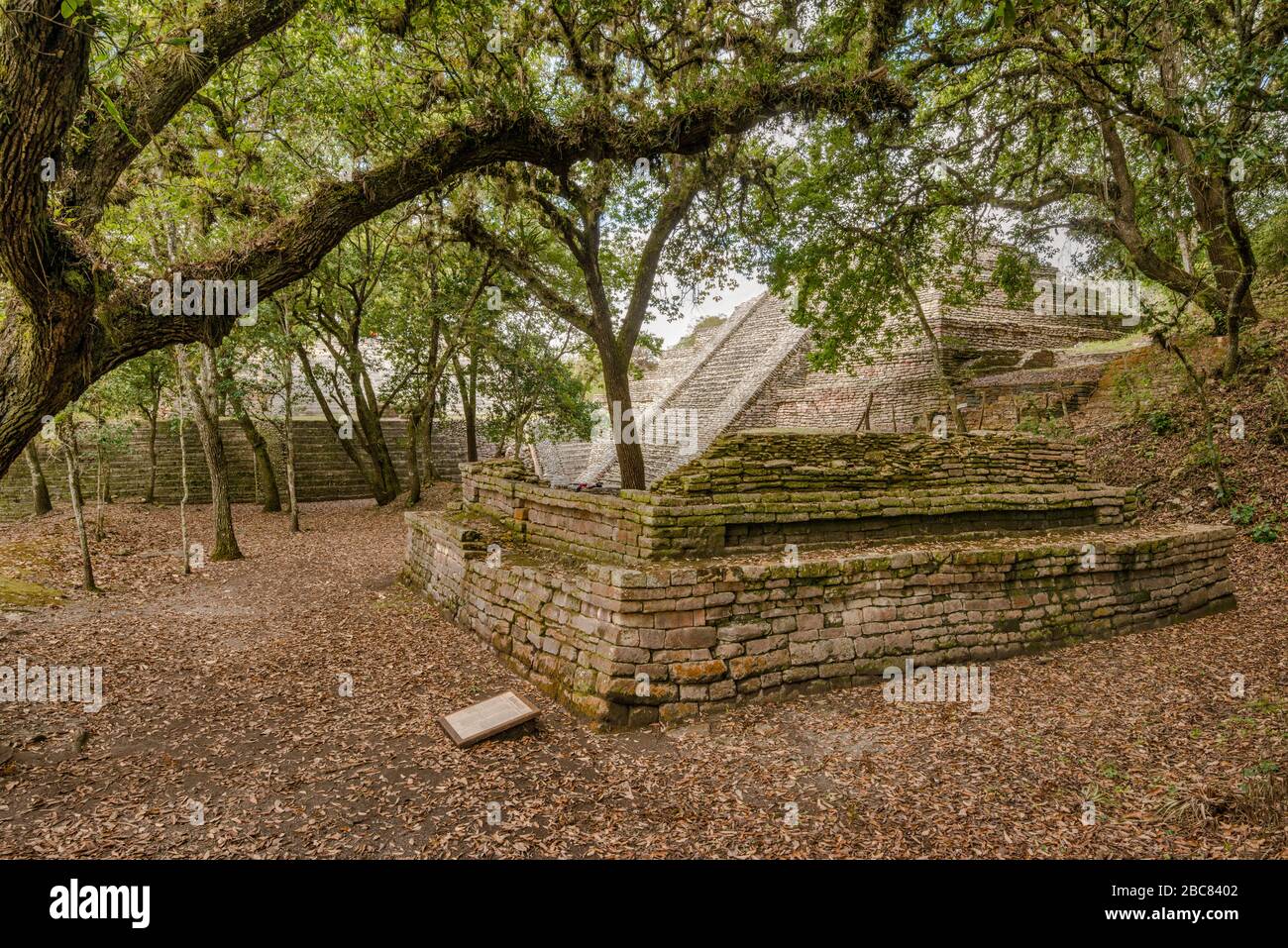 Estructura 11 with Estructura 7 in distance, Maya ruins at Tenam Puente ...