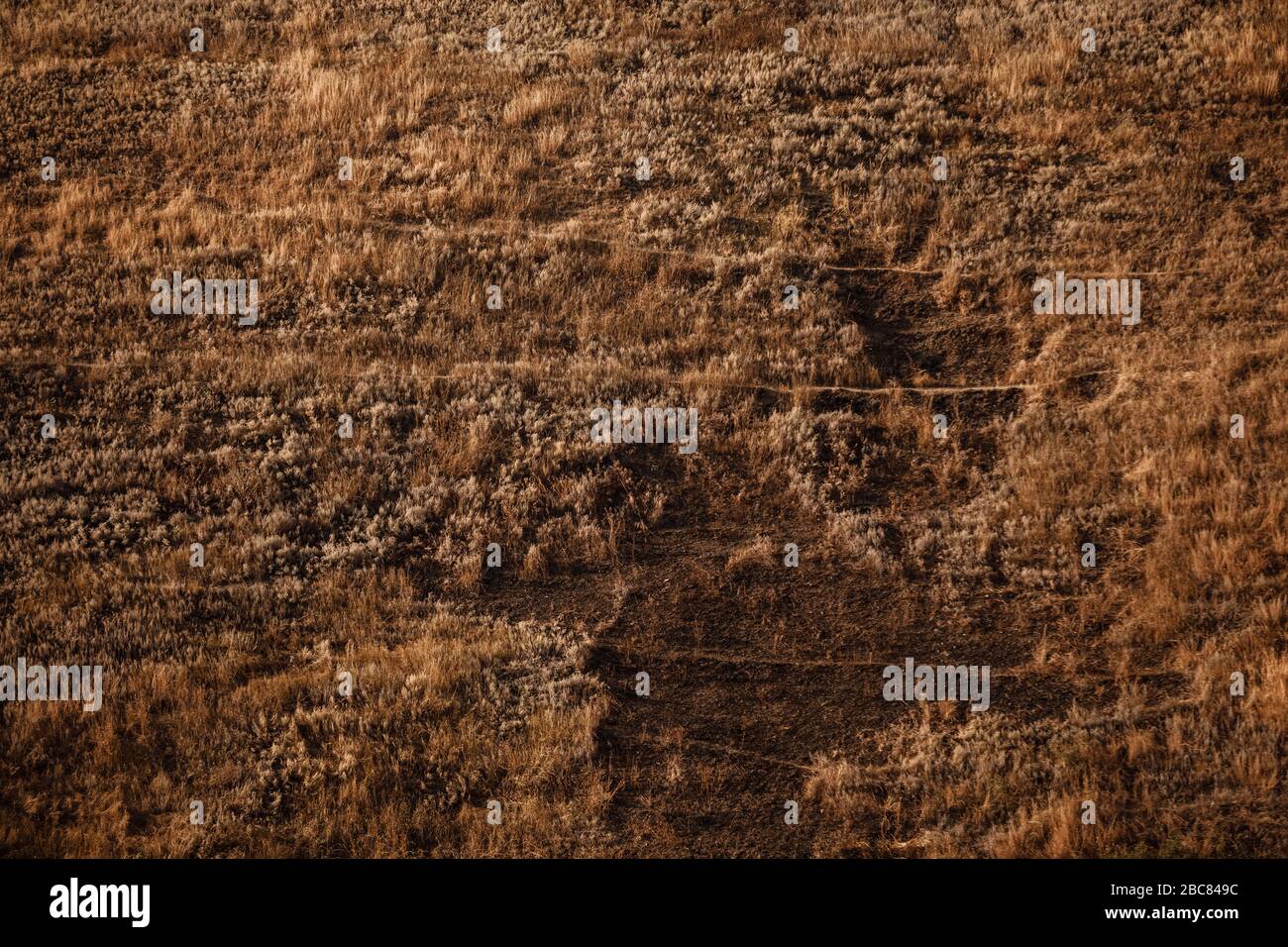 Pointy, rocky mountain peak covered by trees and moss and wonderful ...