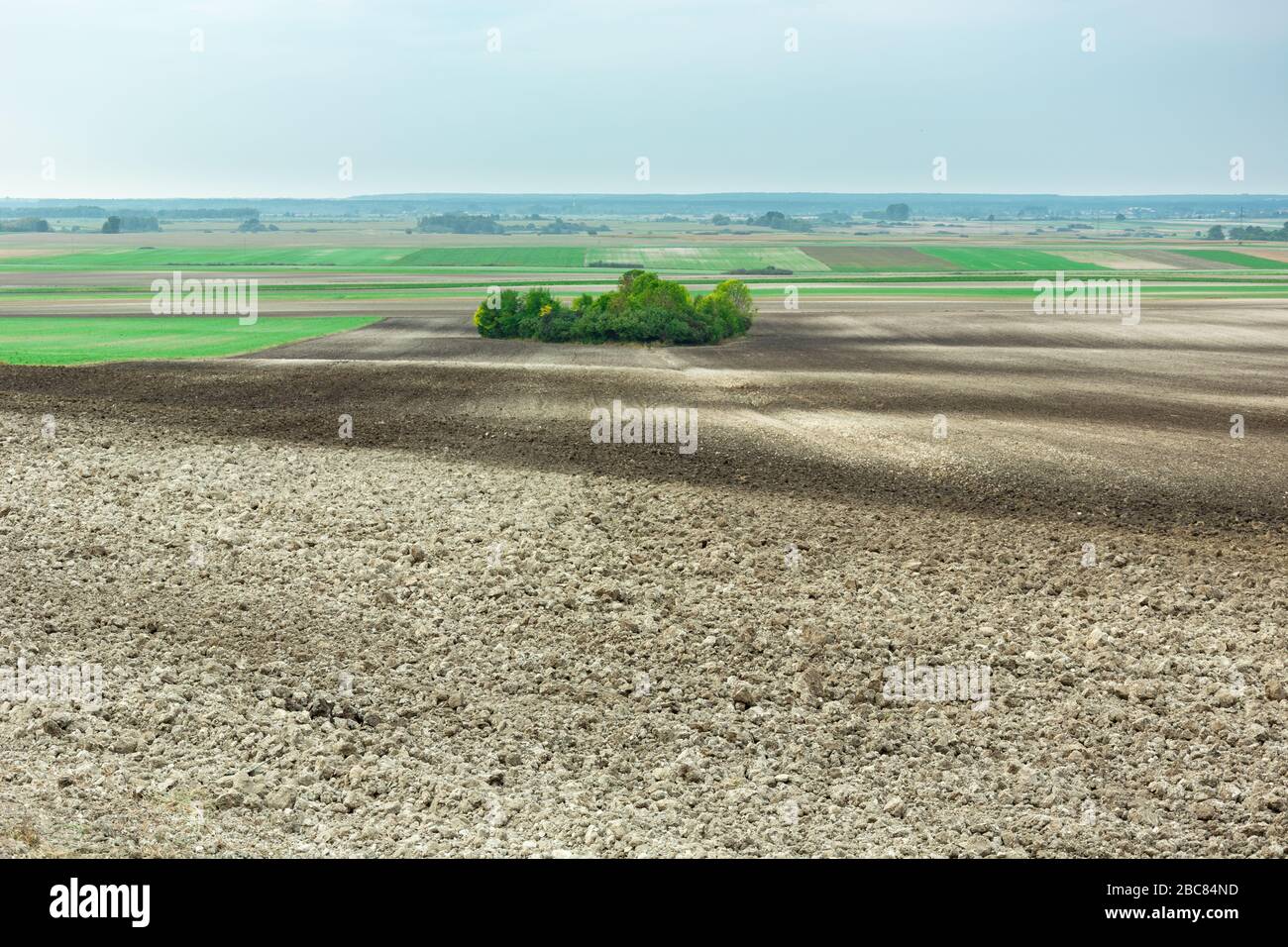 Trees at horizon hi-res stock photography and images - Alamy