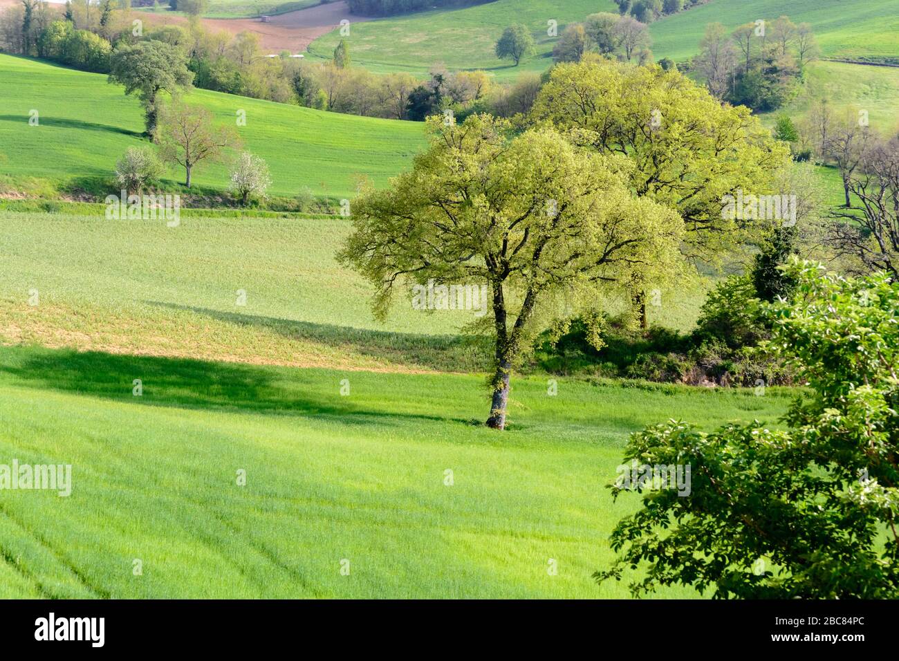 Amazing green landscape in central Italy, in Umbria between Gubbio and ...