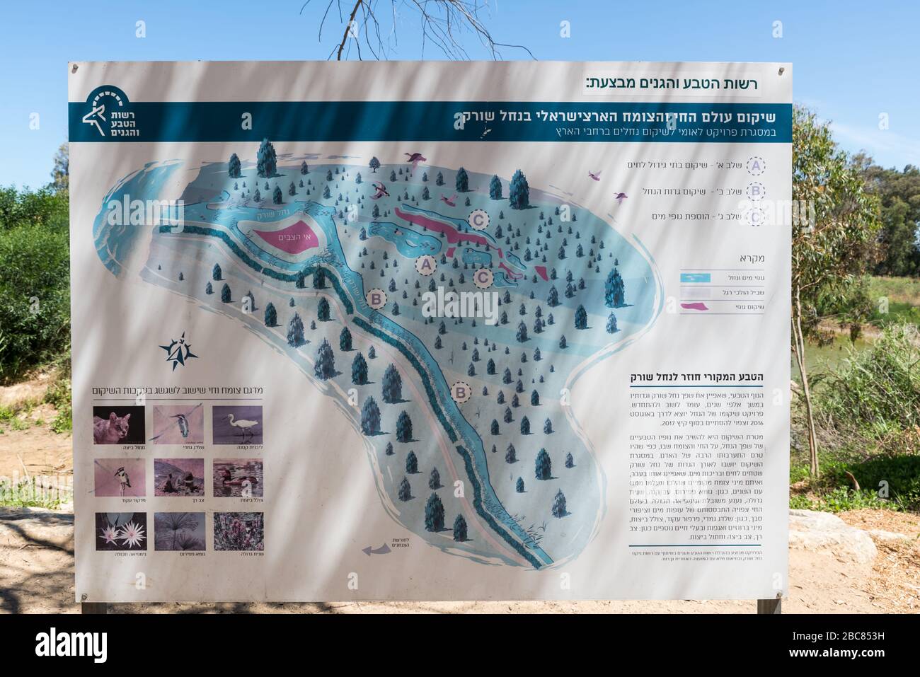 Hiking at Nahal Sorek in Israel Stock Photo - Alamy