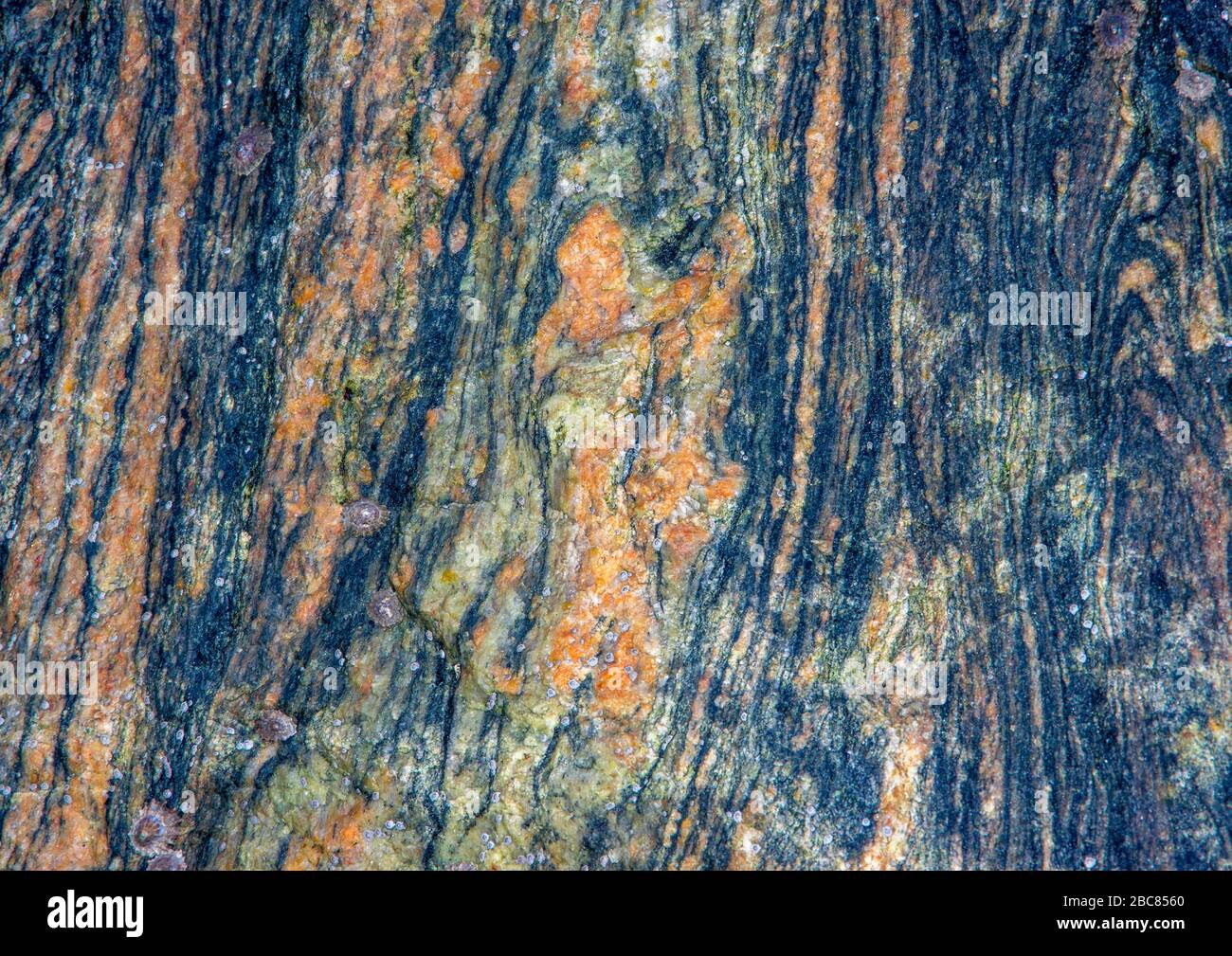 Rough finishes hi-res stock photography and images - Alamy