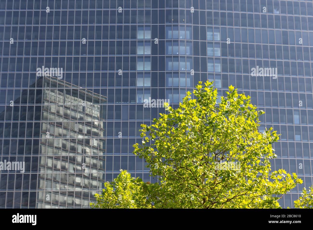 Office building with reflections another building and tree in front ...
