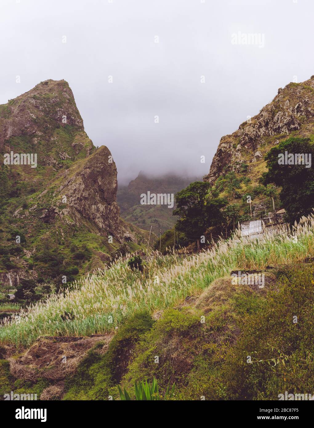 Small overgrown ravine between hi-res stock photography and images - Alamy