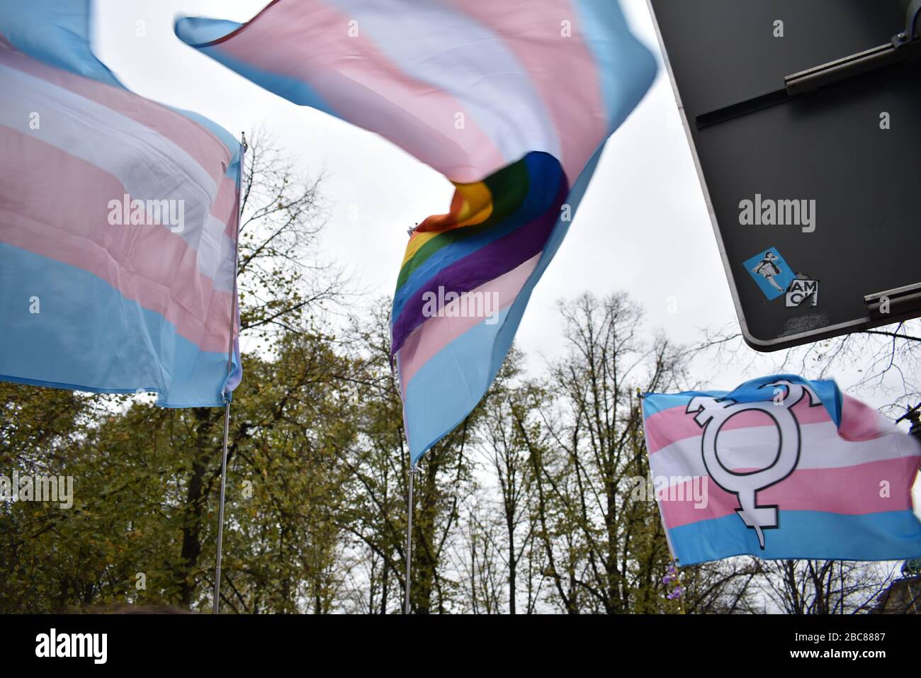 Trans flags with transgender symbol flying at a protest at the US ...